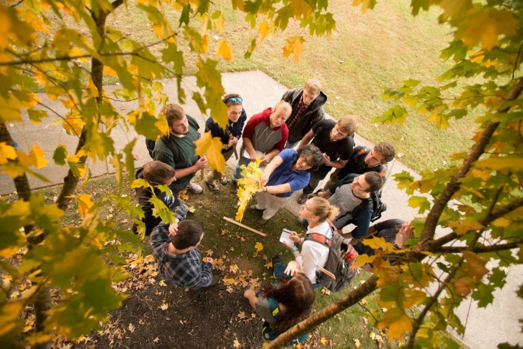 Brevard College: Your Academic Adventure Awaits!